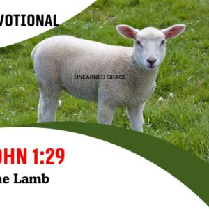 Proverbs 24:10 Devotional - True Strength - Unearned Grace